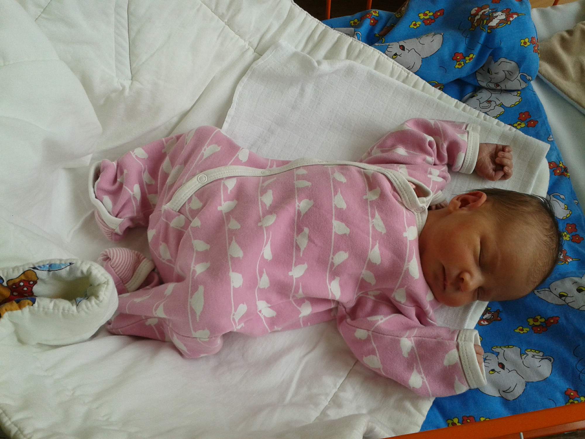 Nikolka 15.6.2015 – anetkahollanova – album on Rajče